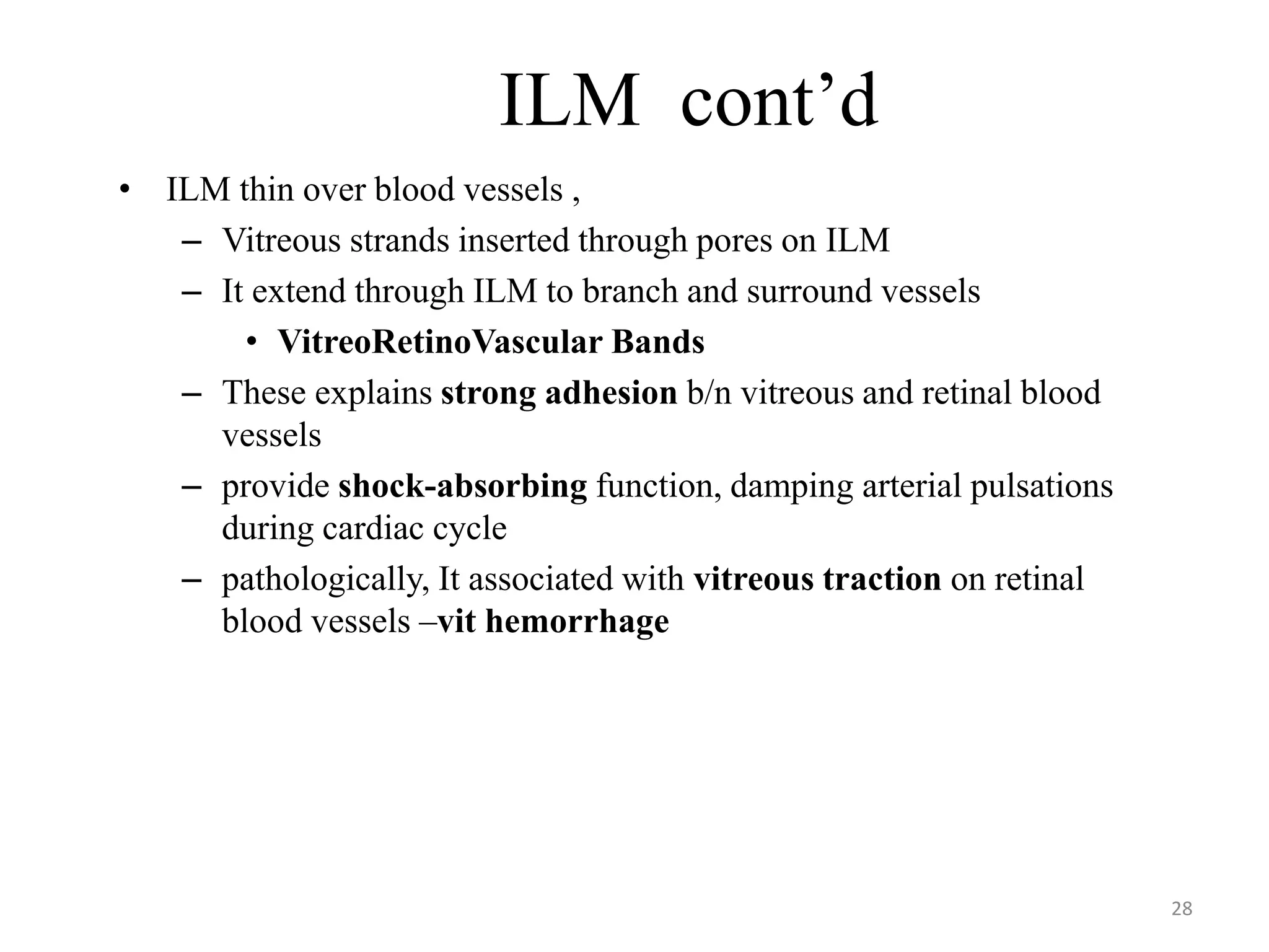 Anatomy of the vitreous body | PPTX