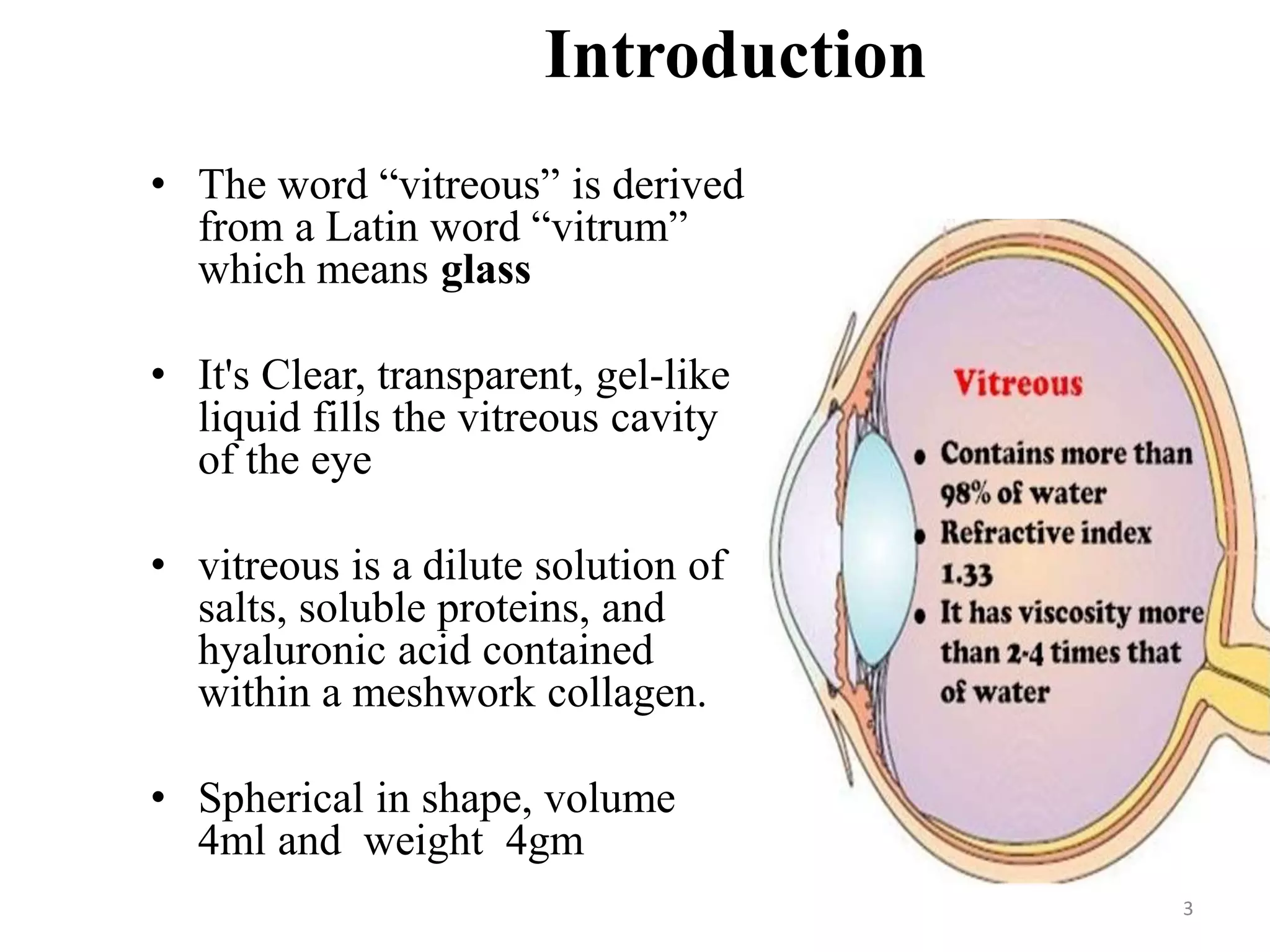 Anatomy of the vitreous body | PPTX