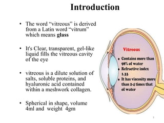Anatomy of the vitreous body | PPTX