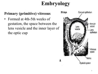 Anatomy of the vitreous body | PPTX