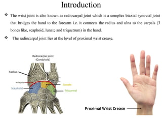 Gross Anatomy of the Wrist - Copy-1.pptx
