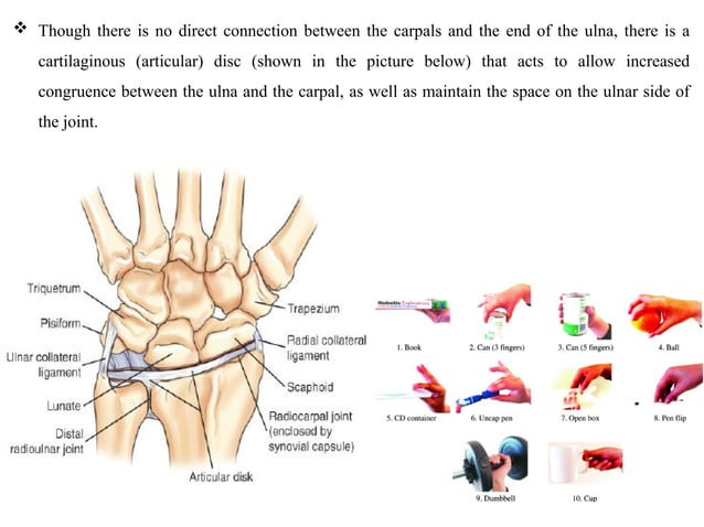 Gross Anatomy of the Wrist - Copy-1.pptx