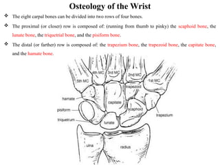 Gross Anatomy of the Wrist - Copy-1.pptx