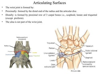 Gross Anatomy of the Wrist - Copy-1.pptx