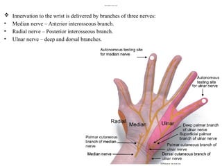 Gross Anatomy of the Wrist - Copy-1.pptx