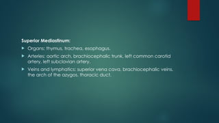 Anatomy of Thoracic Cavity volum 1 (3).pptx