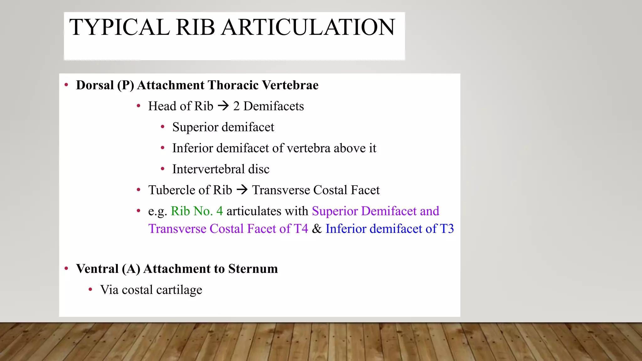 Anatomy of thoracic gage (bones) | PPTX