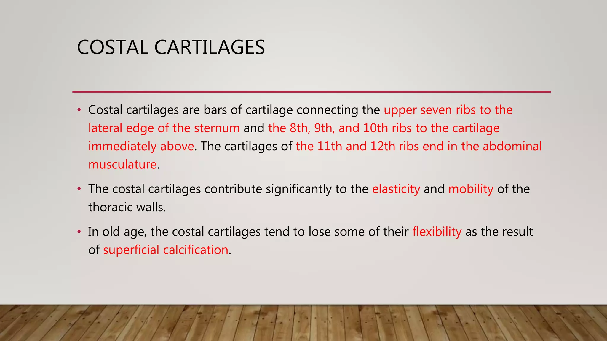 Anatomy of thoracic gage (bones) | PPTX