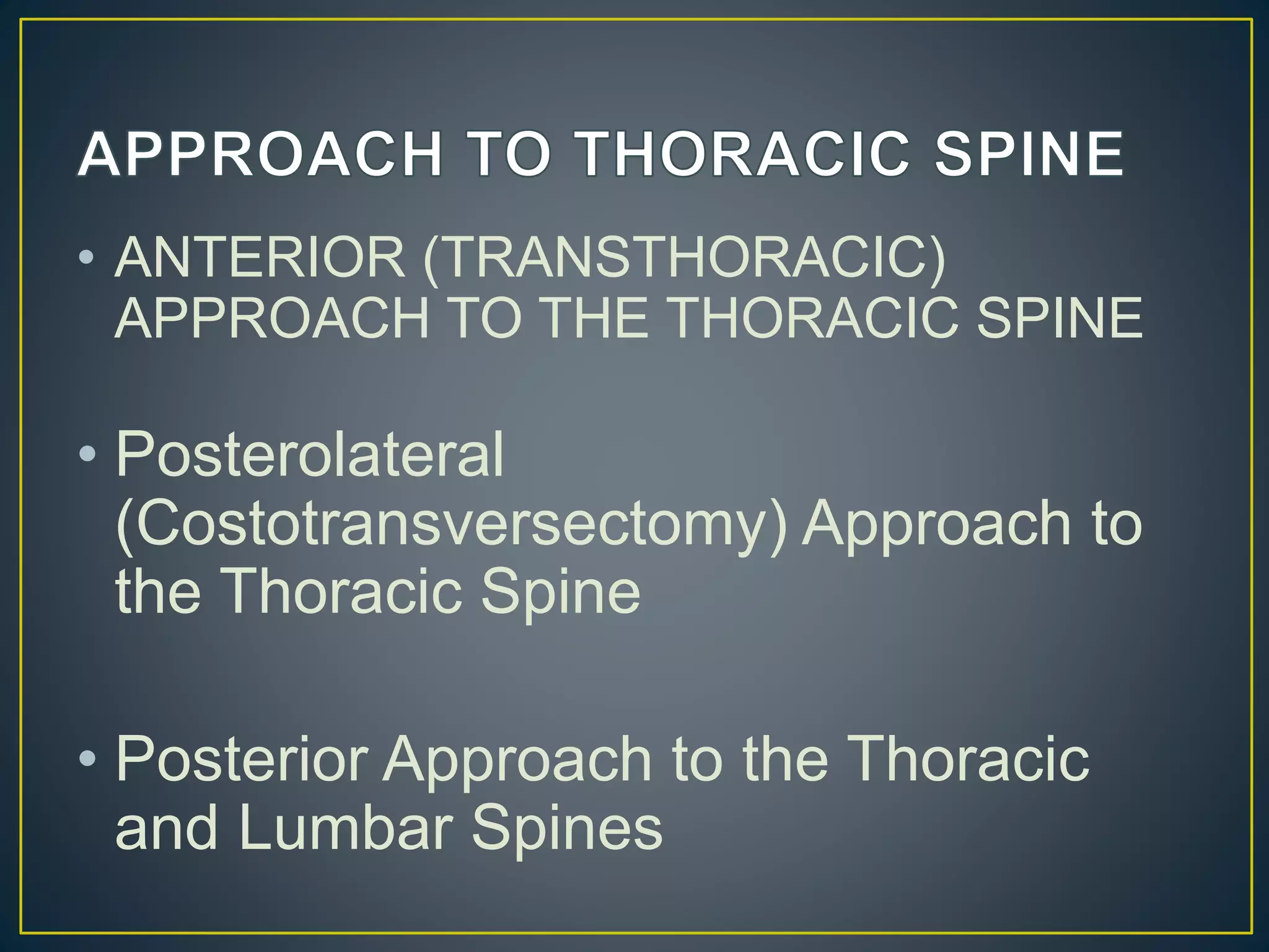 Anatomy of thoracic vertebra | PPTX