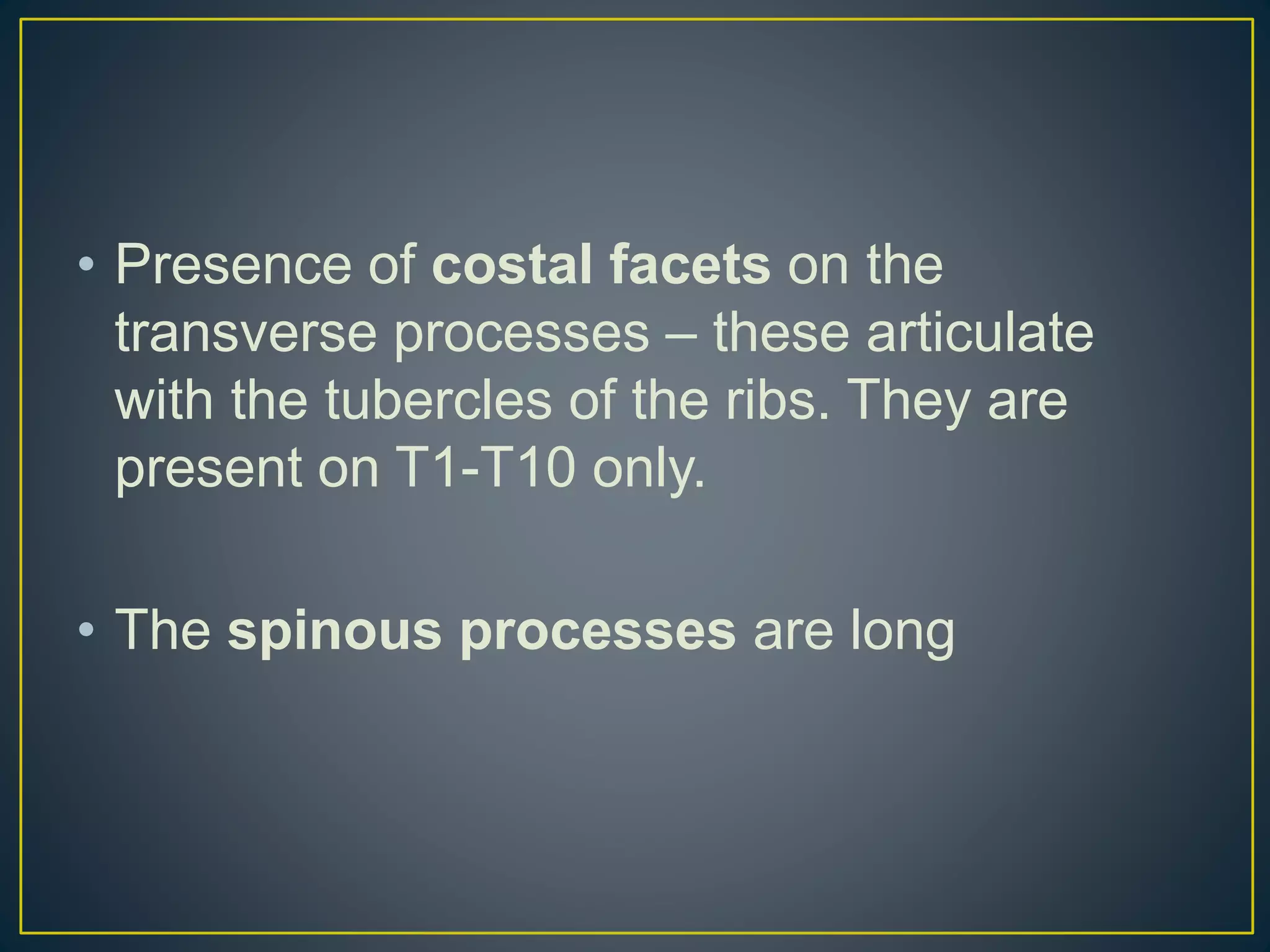 Anatomy of thoracic vertebra | PPTX