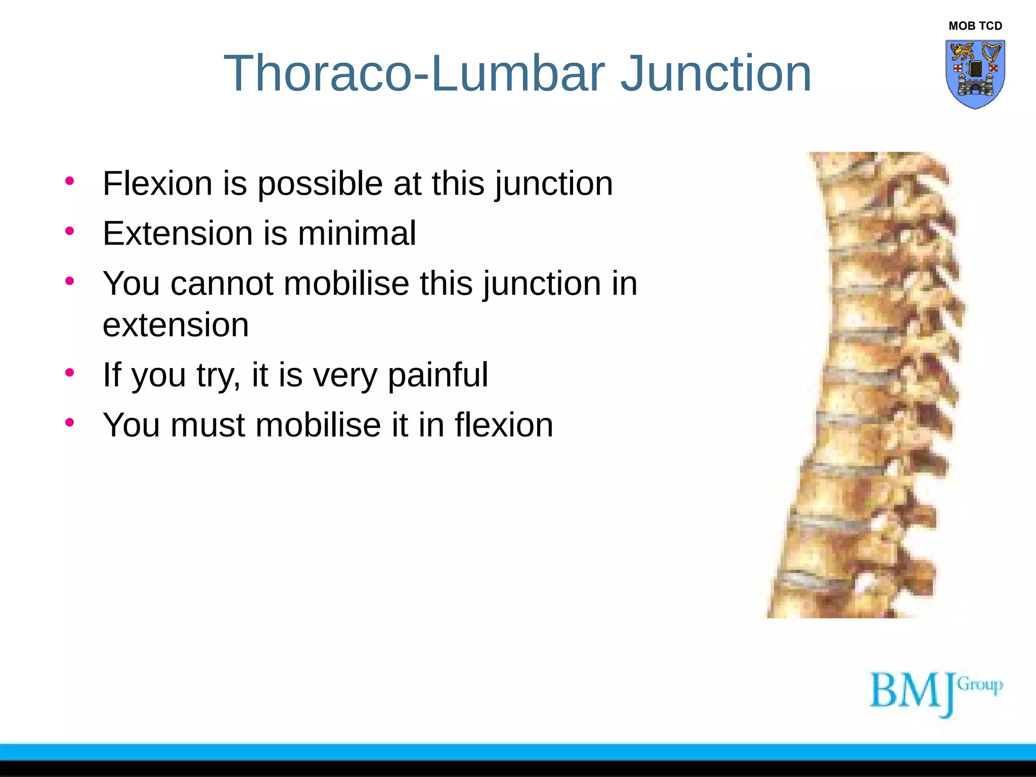Anatomy of thoraco lumbar vertabrae (www.Am-medicine.com) | PPT