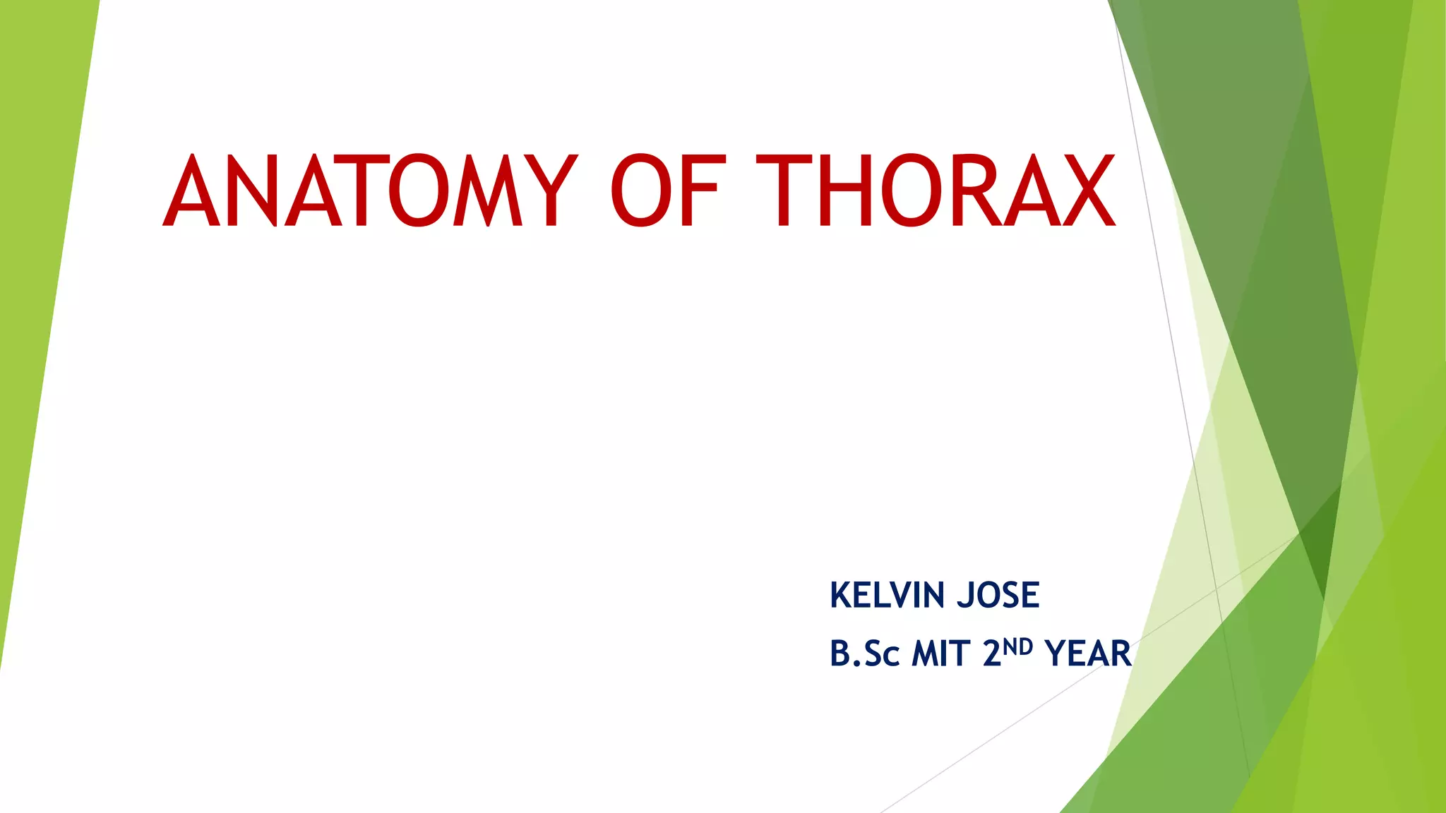 Anatomy of Thorax | PPTX