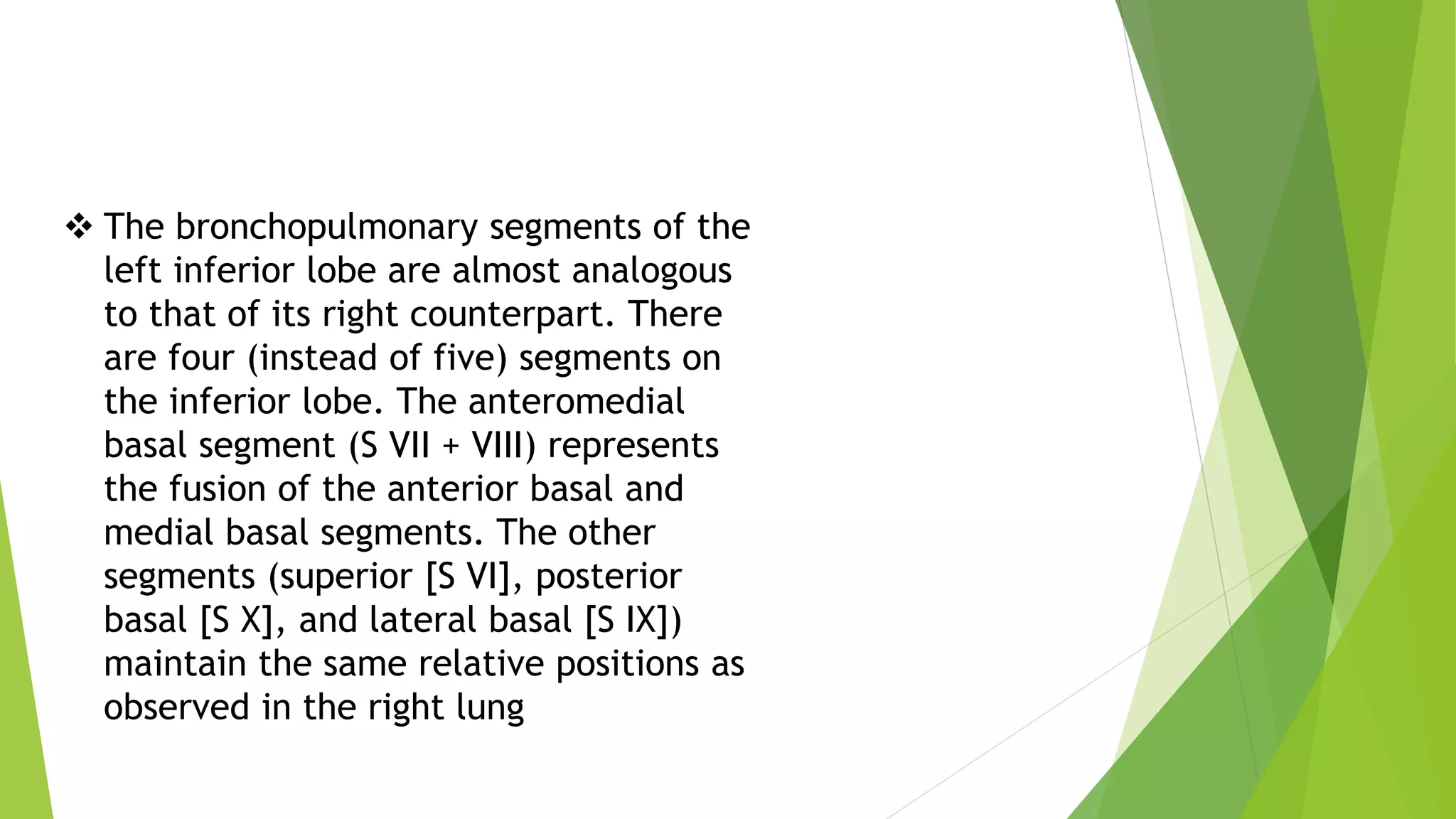 Anatomy of Thorax | PPTX