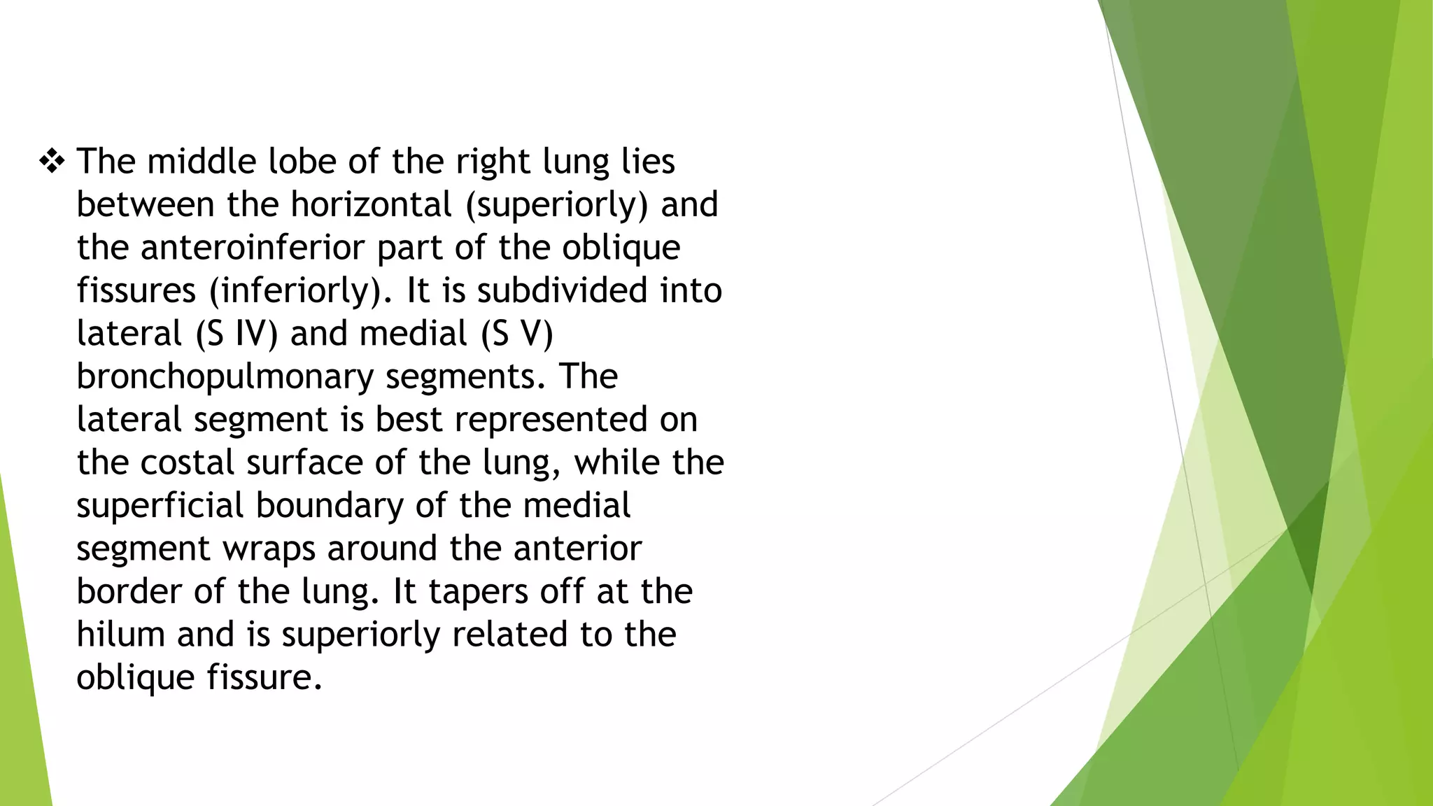 Anatomy of Thorax | PPTX | Lung and Respiratory Health | Diseases and ...