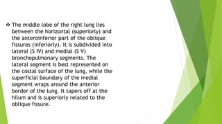 Anatomy of Thorax | PPTX