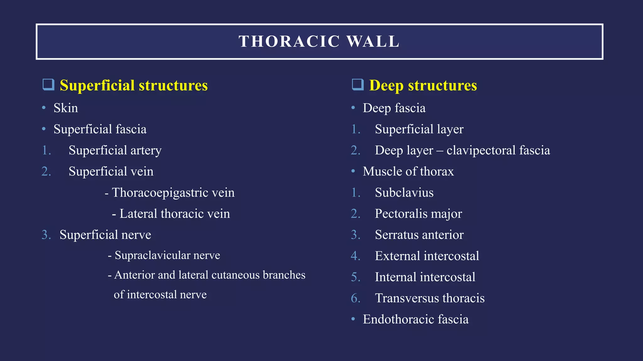 Anatomy of thorax | PPTX