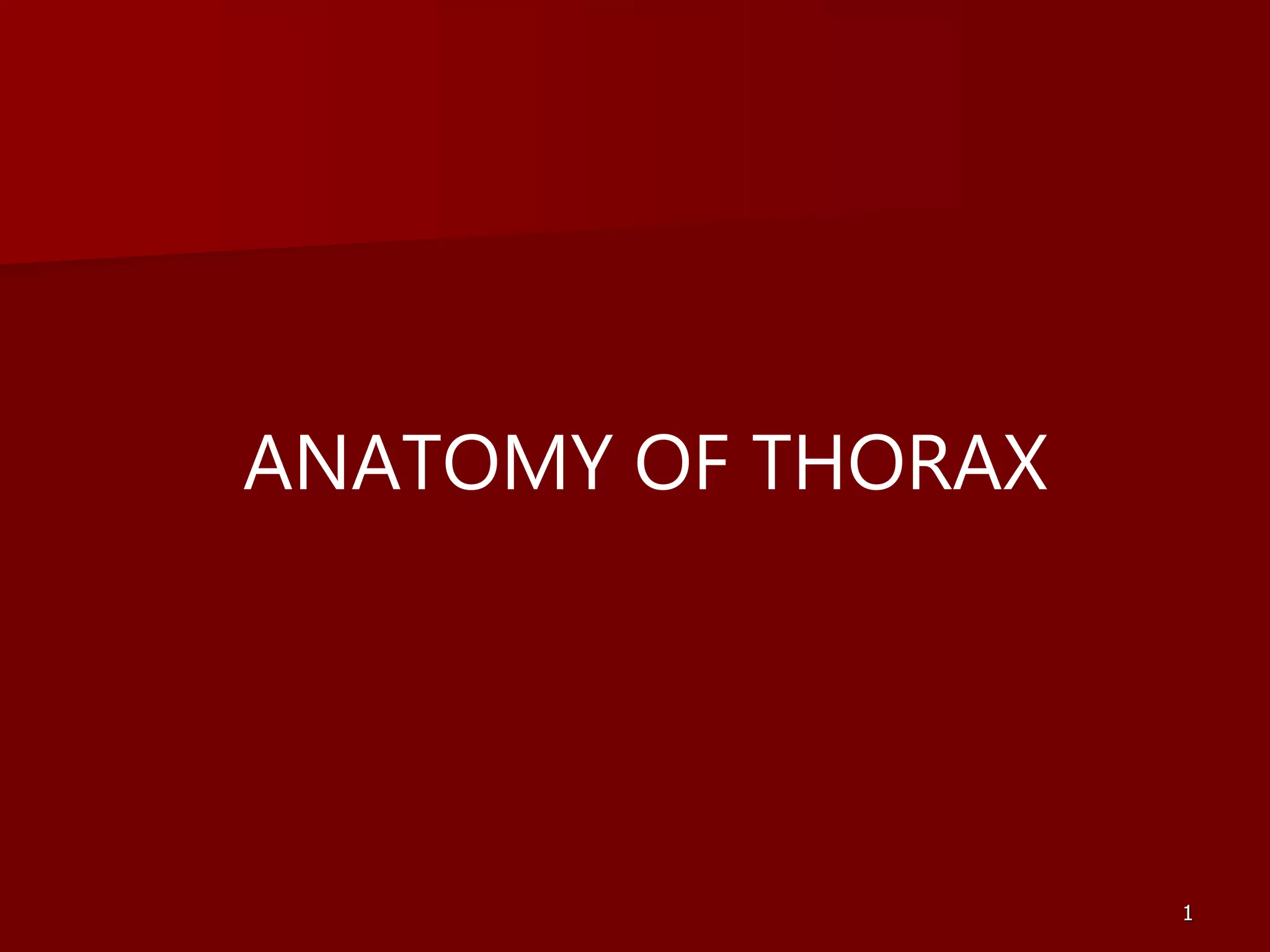 anatomy of thorax.ppt