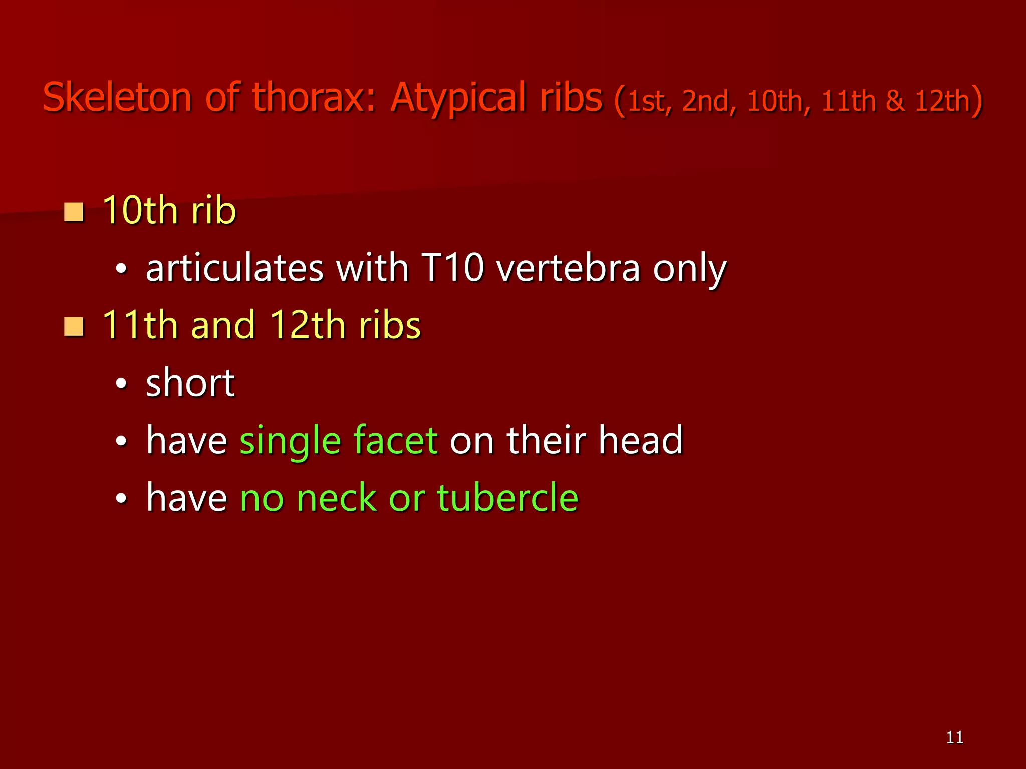anatomy of thorax.ppt