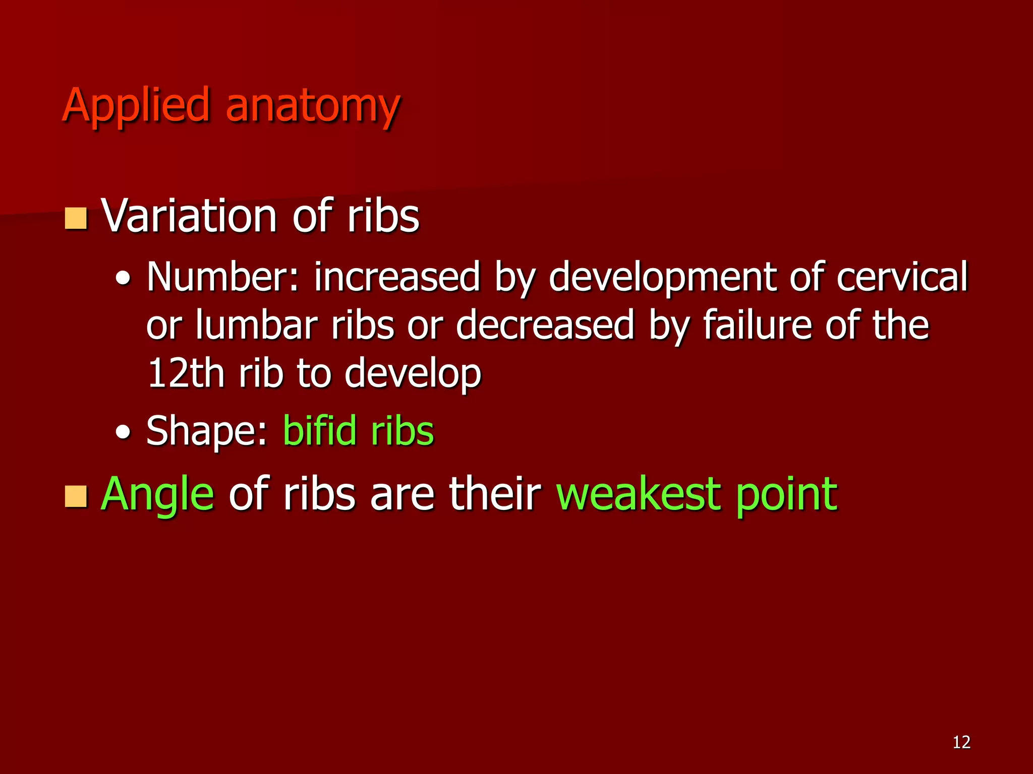anatomy of thorax.ppt