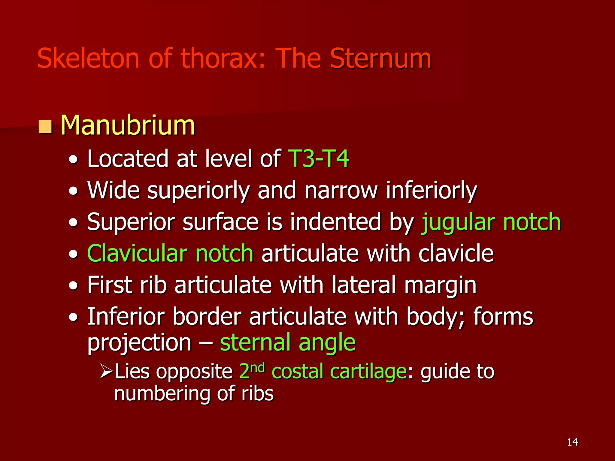 anatomy of thorax.ppt