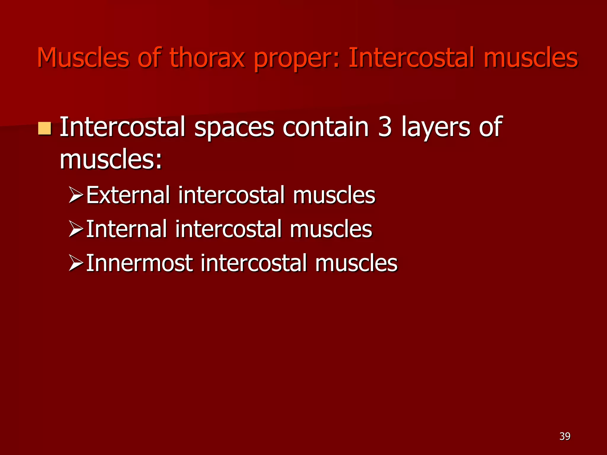anatomy of thorax.ppt