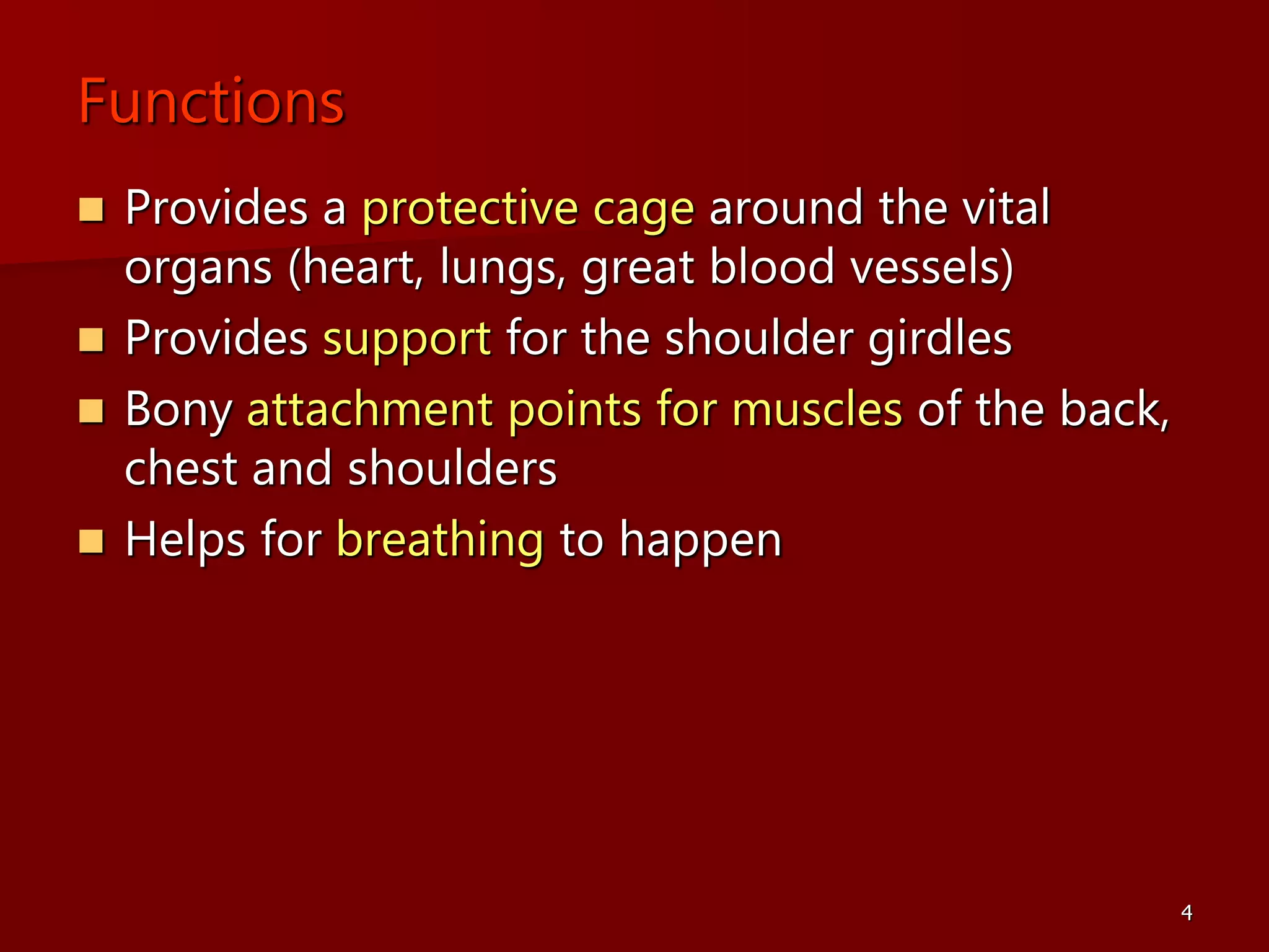 anatomy of thorax.ppt