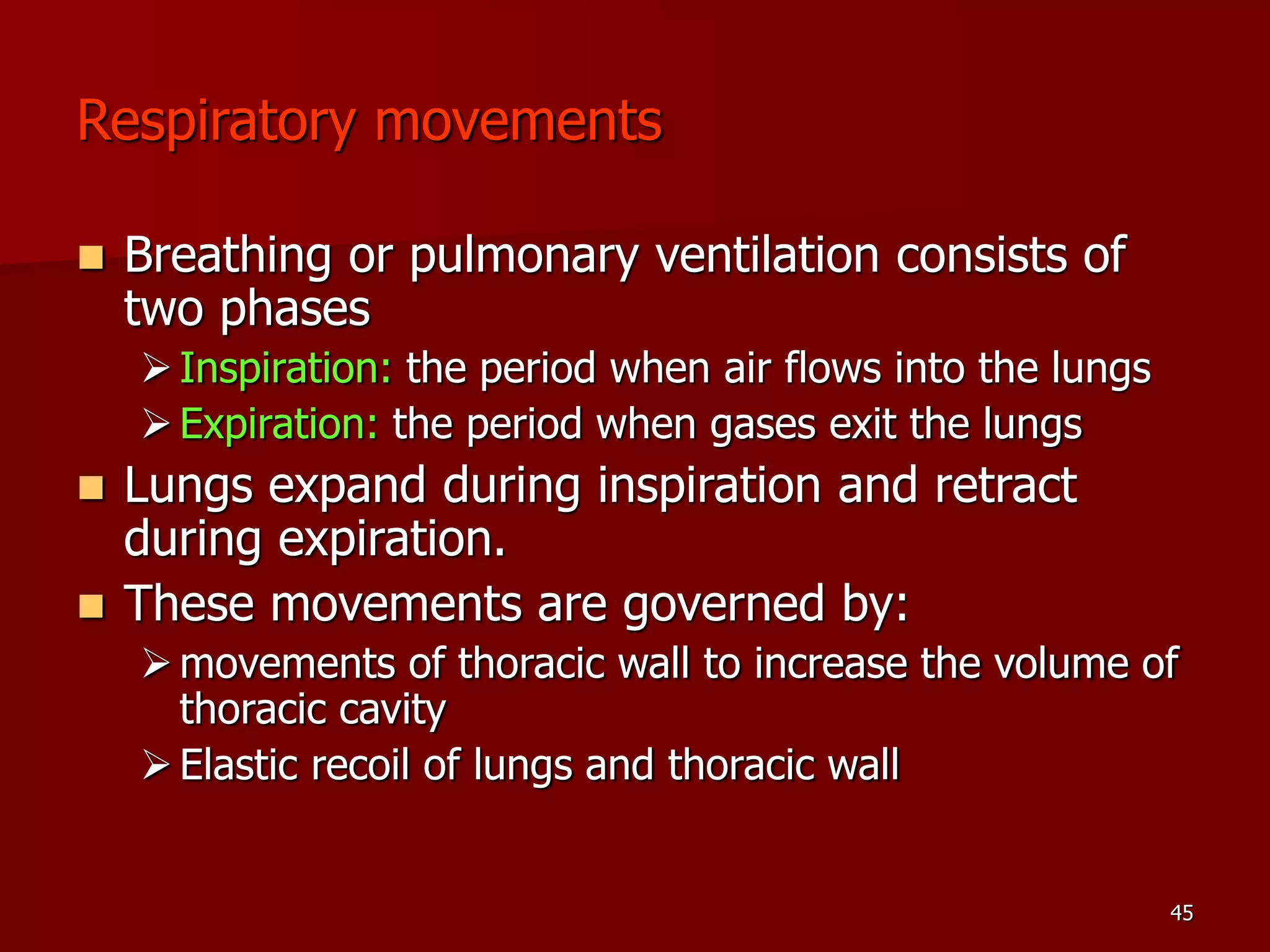 anatomy of thorax.ppt