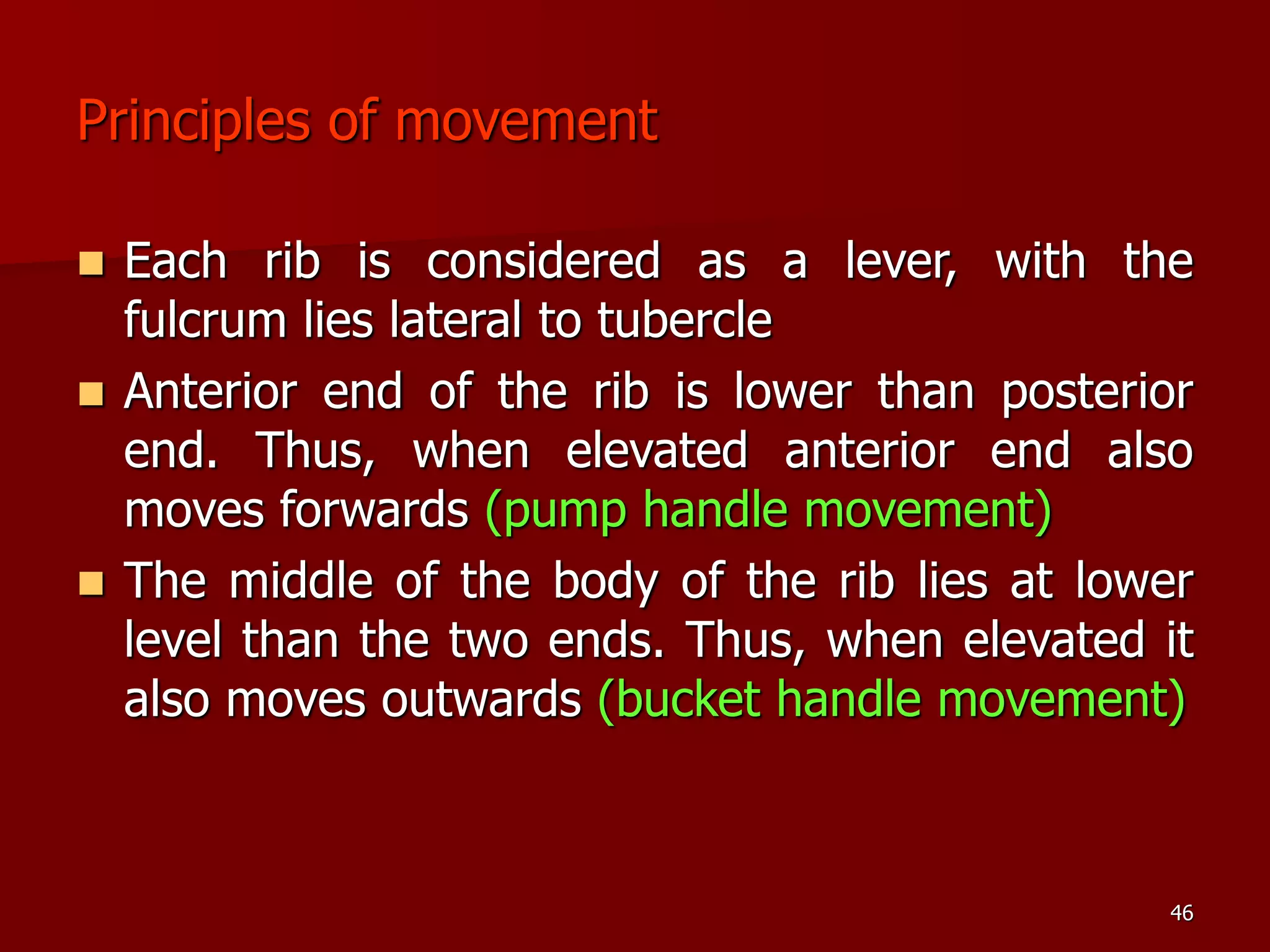 anatomy of thorax.ppt