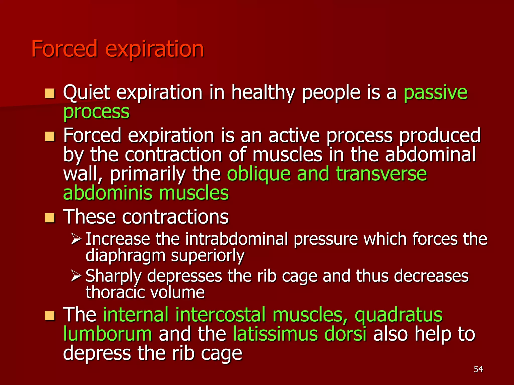 anatomy of thorax.ppt