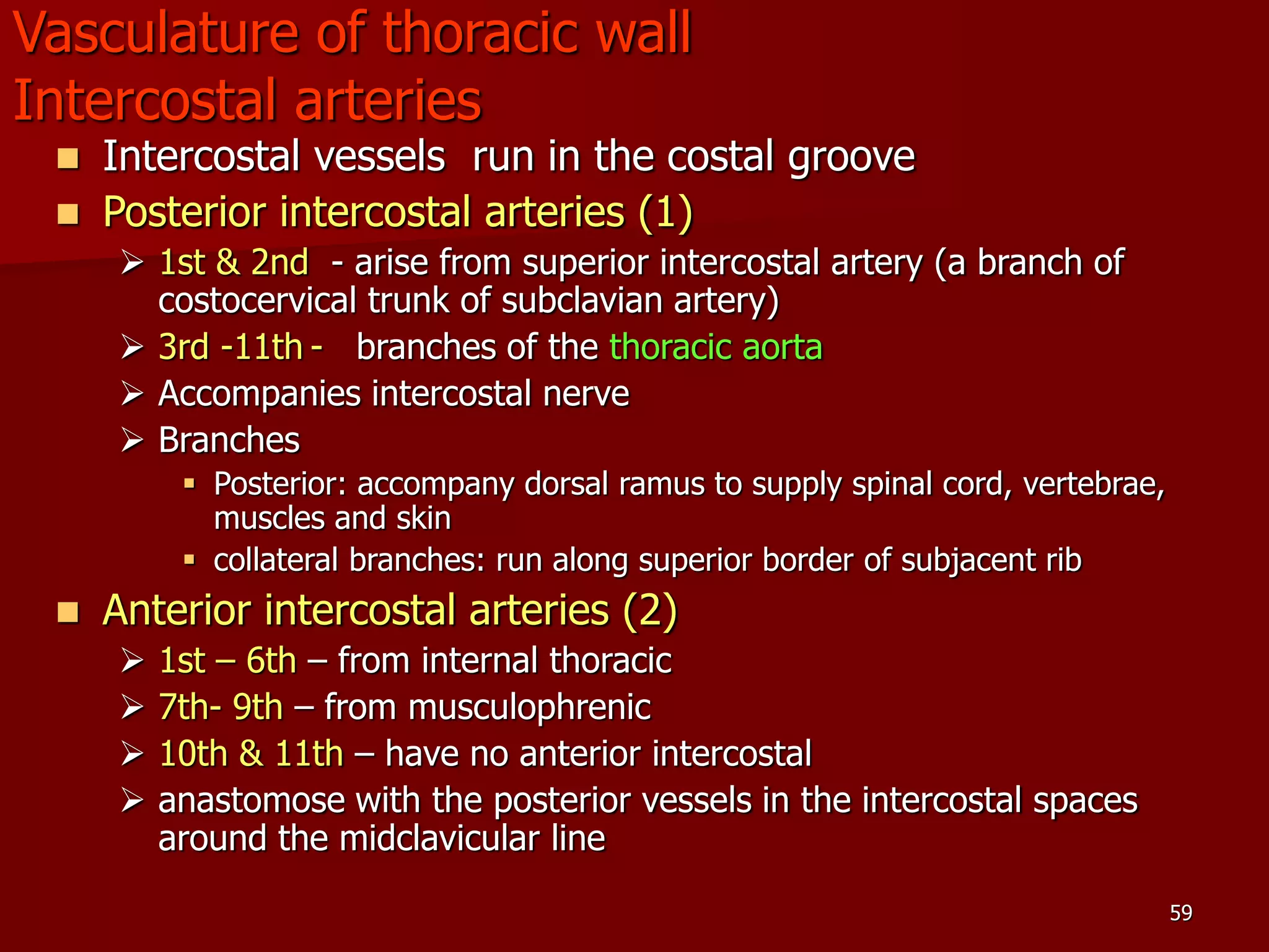 anatomy of thorax.ppt