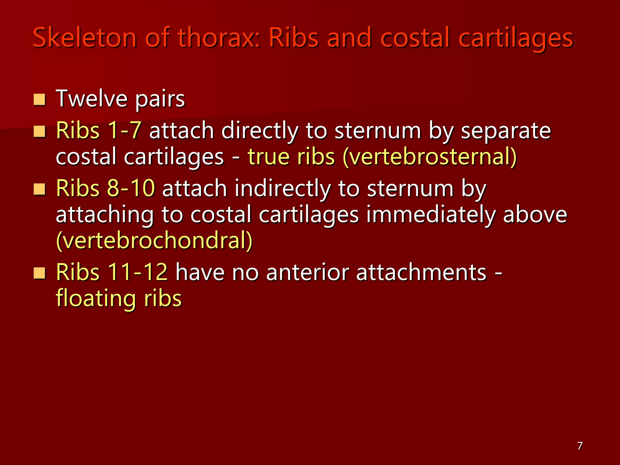anatomy of thorax.ppt