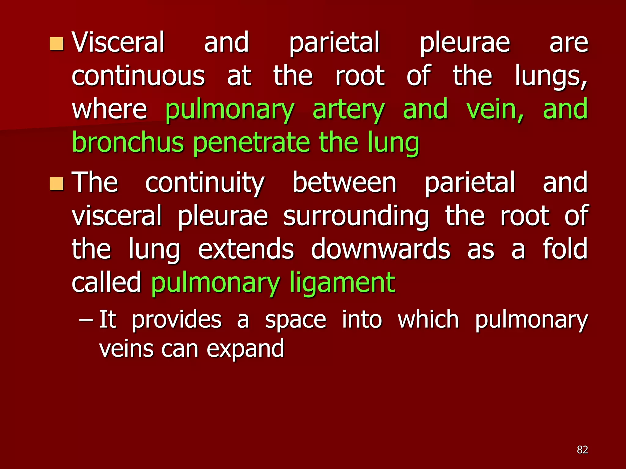 anatomy of thorax.ppt