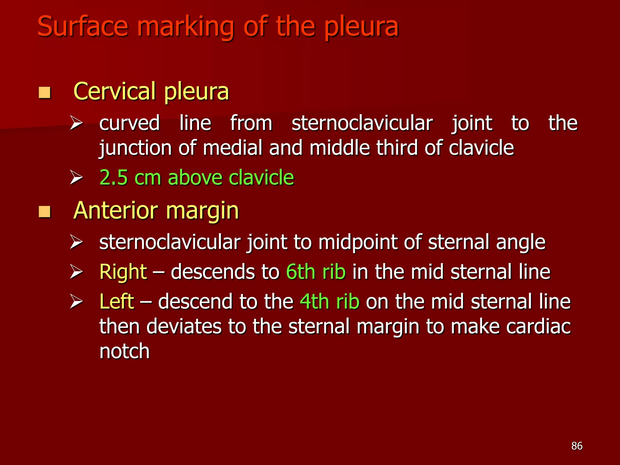 anatomy of thorax.ppt