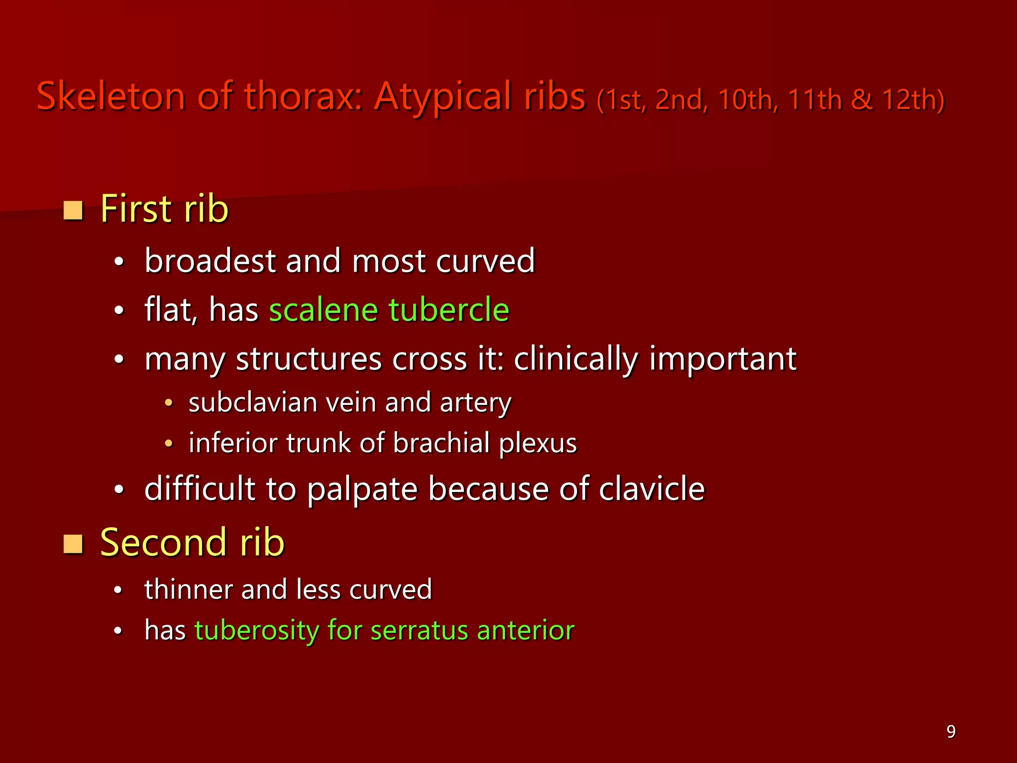 anatomy of thorax.ppt