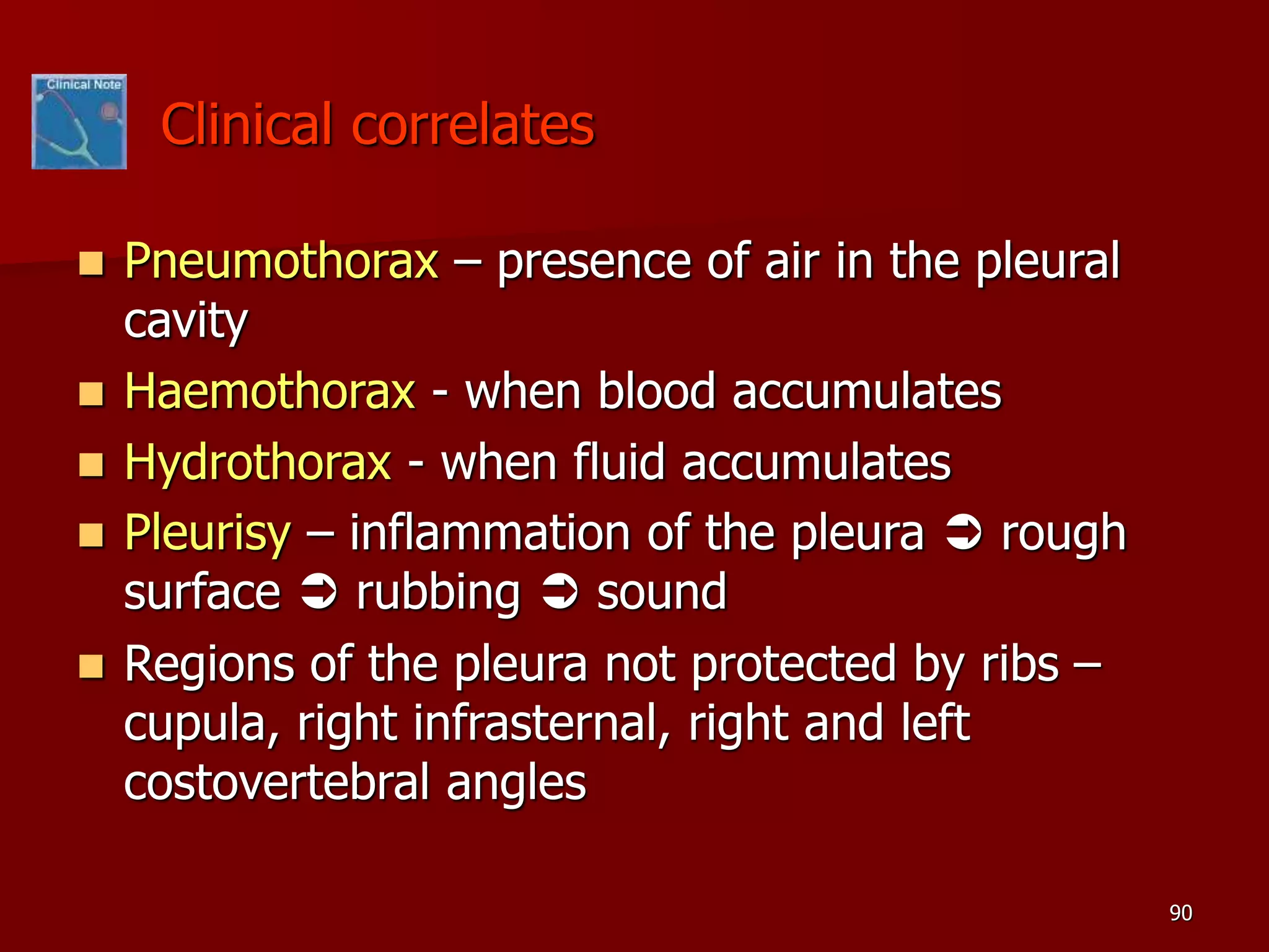 anatomy of thorax.ppt
