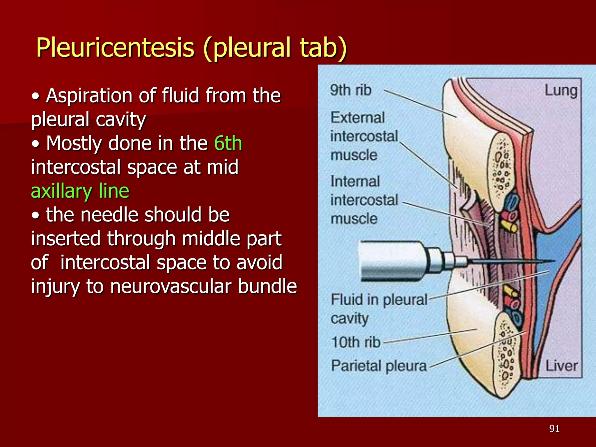 anatomy of thorax.ppt