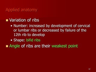 anatomy of thorax.ppt