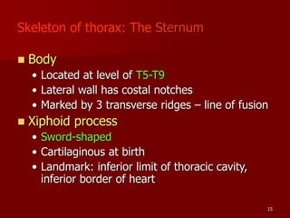 anatomy of thorax.ppt