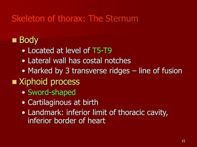 anatomy of thorax.ppt