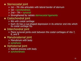 anatomy of thorax.ppt