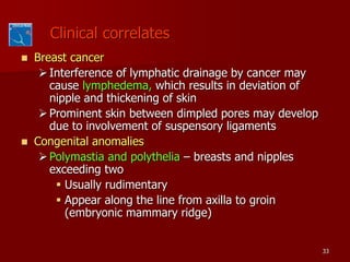 anatomy of thorax.ppt