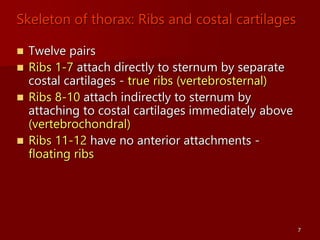anatomy of thorax.ppt