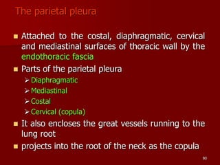 anatomy of thorax.ppt