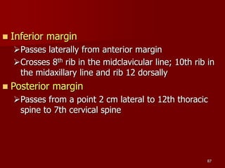 anatomy of thorax.ppt