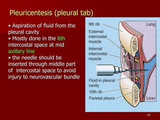 anatomy of thorax.ppt
