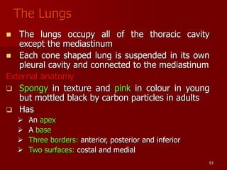 anatomy of thorax.ppt