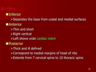 anatomy of thorax.ppt