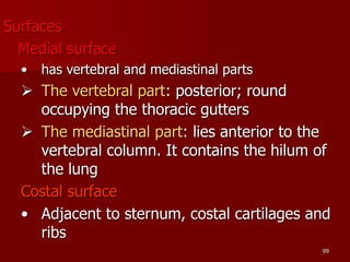 anatomy of thorax.ppt