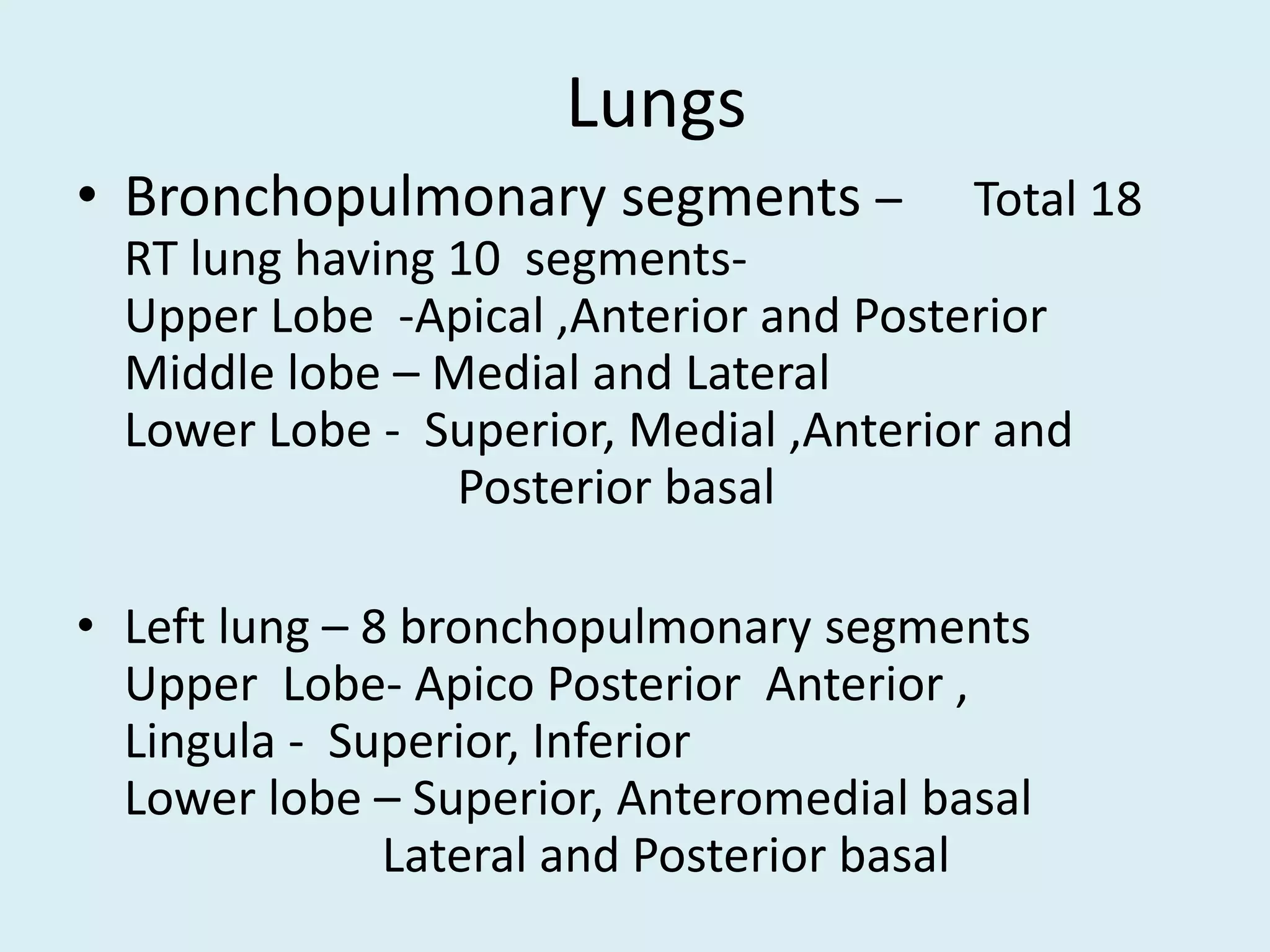 Anatomy of thorax (2) | PPTX