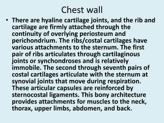 Anatomy of thorax (2) | PPTX